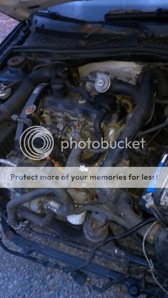 Mk3 Jetta TDI | VW Vortex - Volkswagen Forum